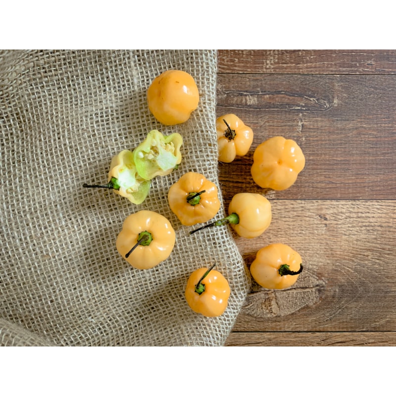 Pimenta De Cheiro Amarela - FDPLEARN